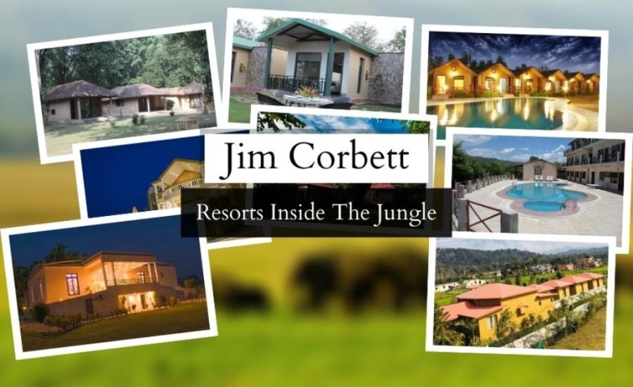 Top 20 Jim Corbett Resorts Inside Jungle